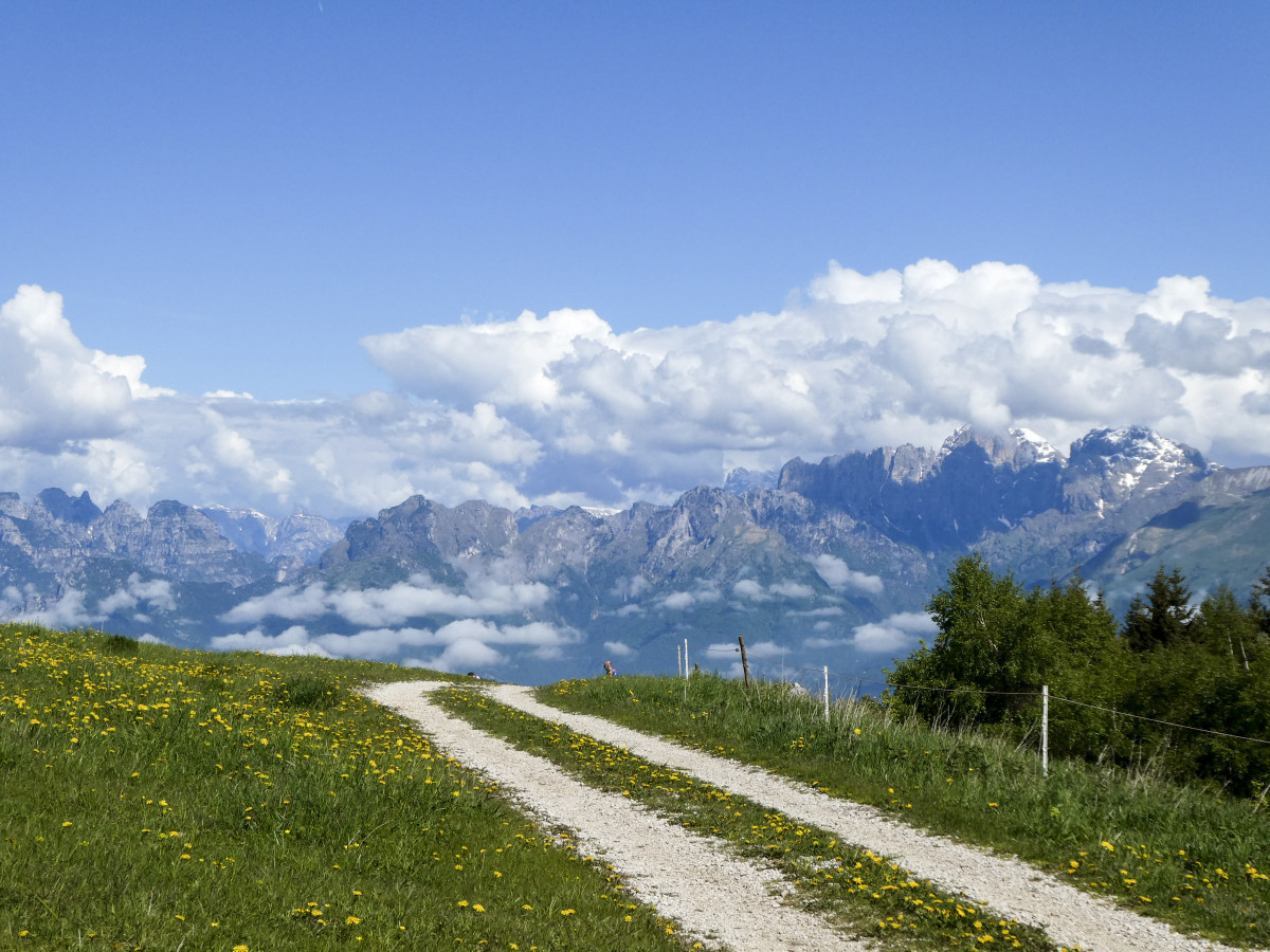 Calendario eventi - Adorable